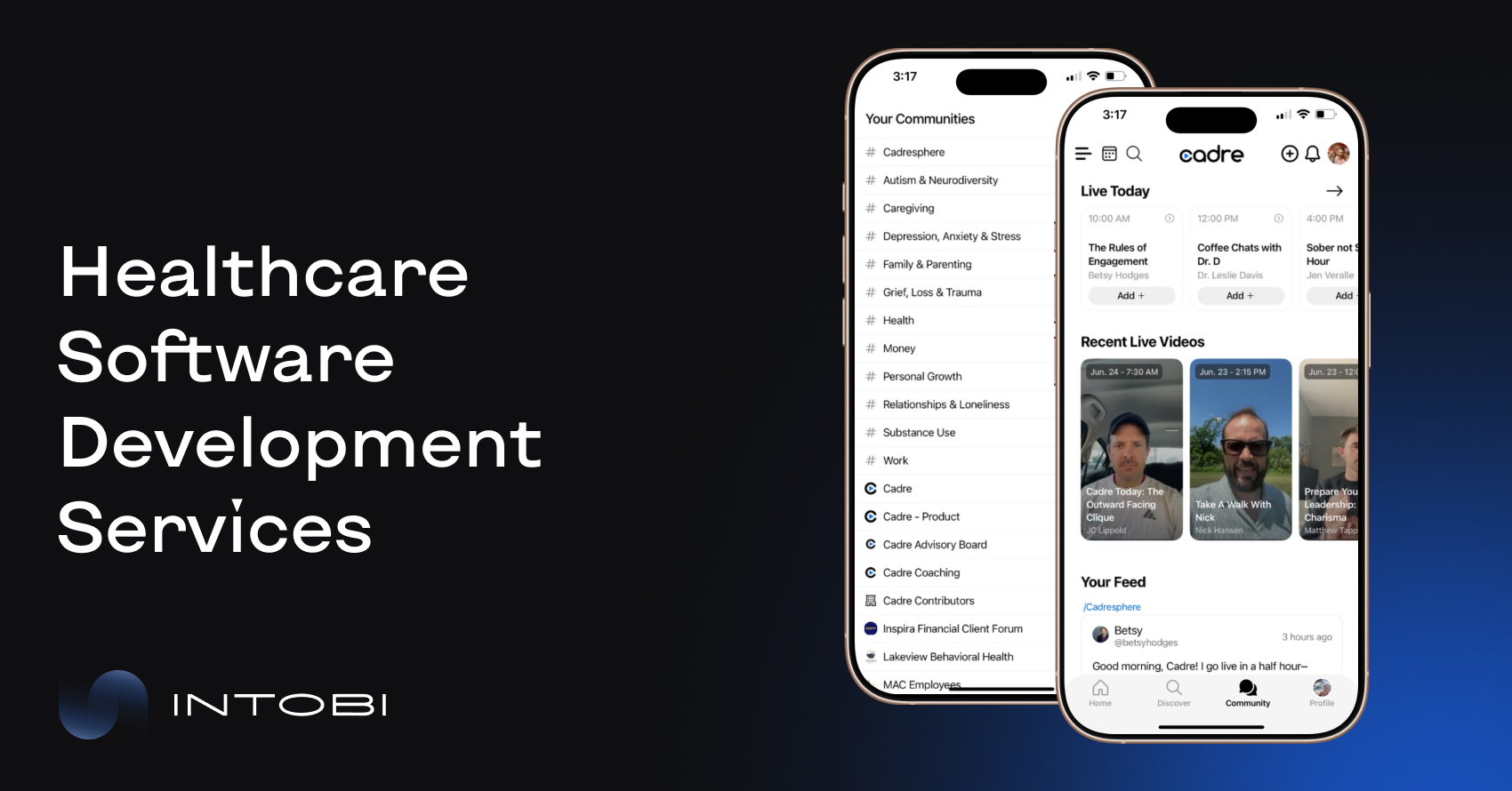 Healthcare Software Development Services - Intobi